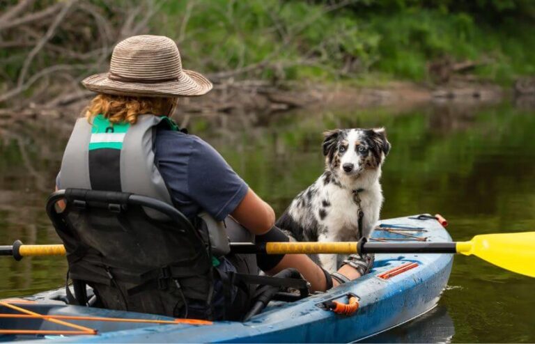 Dog Kayak Guide: Paddling with Your Pup - Water Sports Living