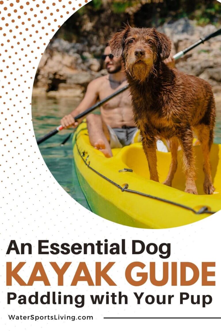 Dog Kayak Guide: Paddling with Your Pup - Water Sports Living